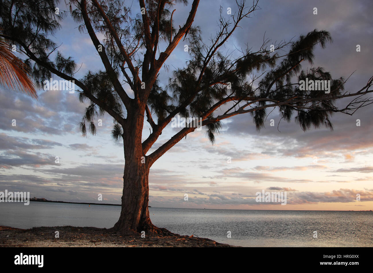 Beautiful panorama of the Miami skyline at sunset, from Key Biscayne ...