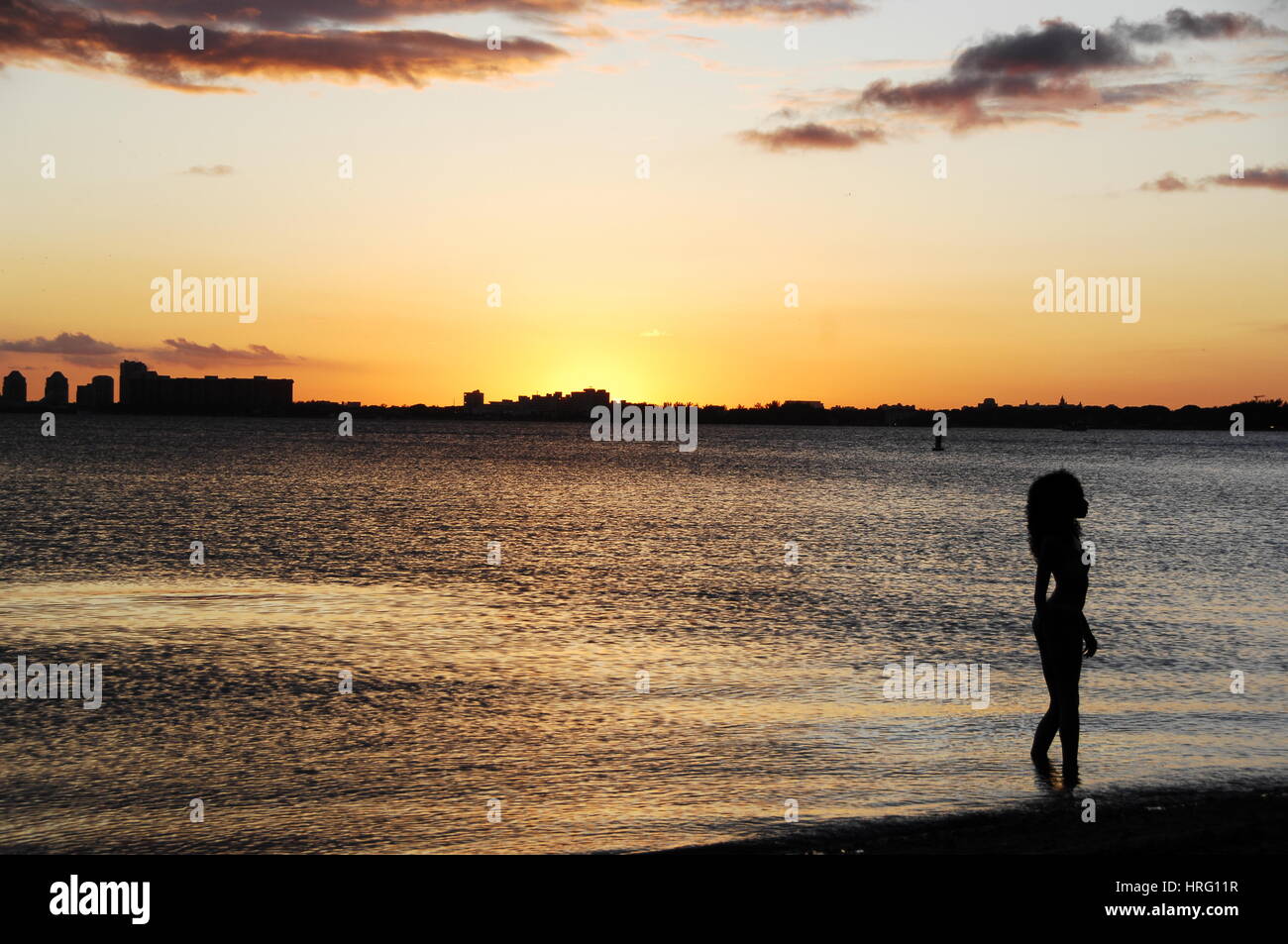 Beautiful panorama of the Miami skyline at sunset, from Key Biscayne ...