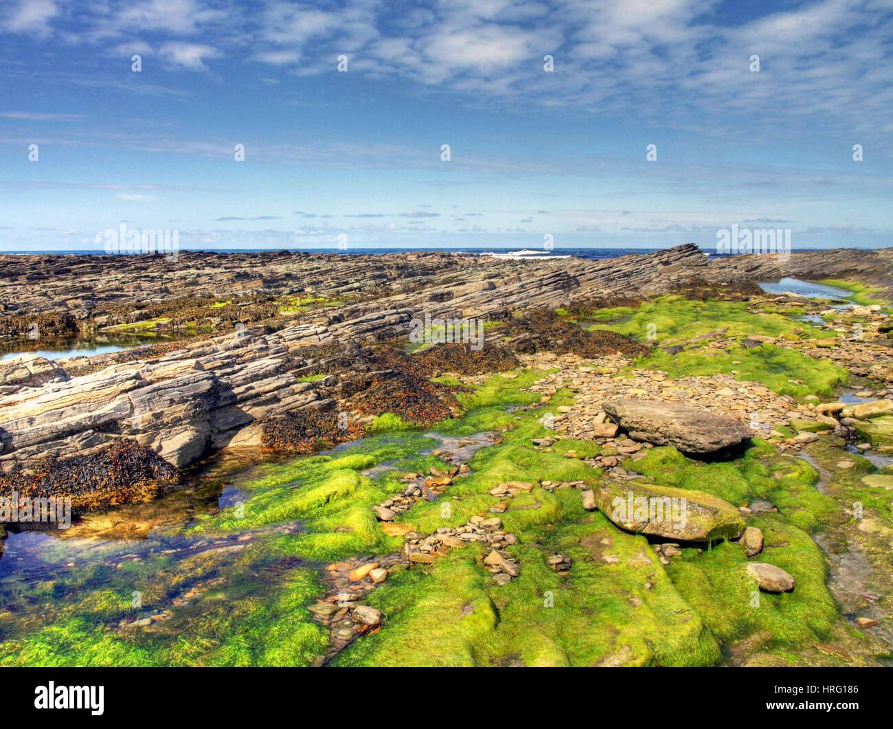 Rough scottish landscape in severe weather conditions Stock Photo - Alamy