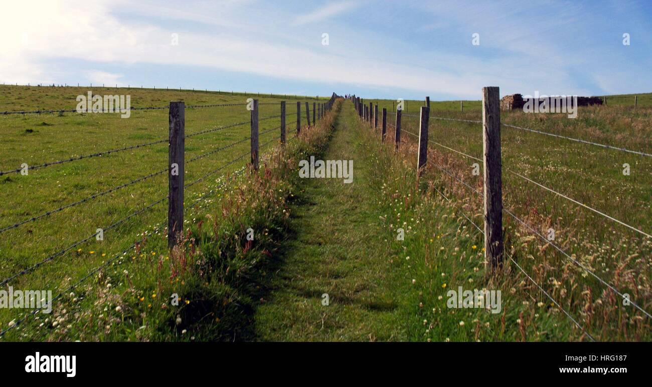 Rough scottish landscape Stock Photo - Alamy