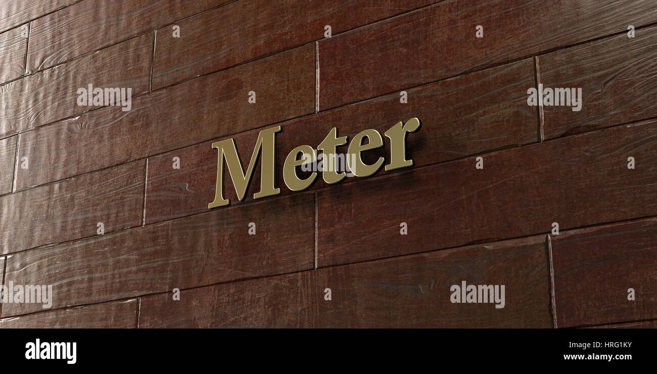Meter - Bronze plaque mounted on maple wood wall - 3D rendered royalty ...