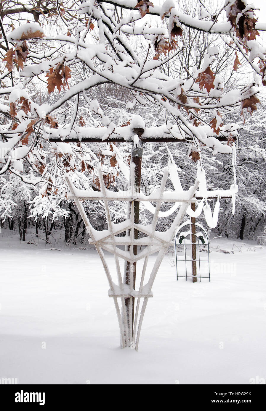 clothes line and garden trellis covered in snow Stock Photo - Alamy