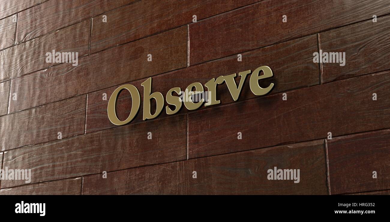 Observe - Bronze plaque mounted on maple wood wall - 3D rendered ...