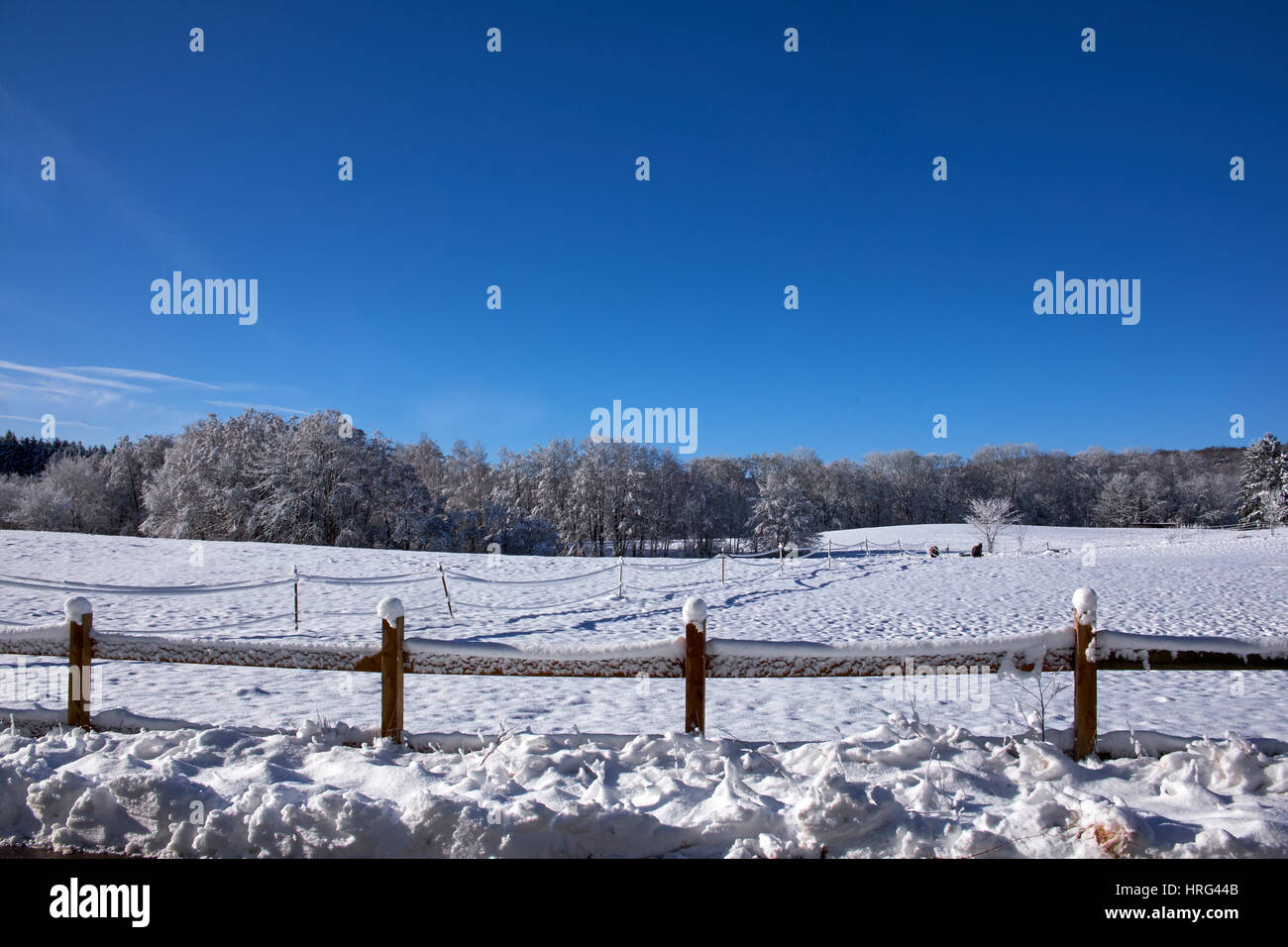 Newly fallen snow on acres and trees surrounded by a farm fence of wood ...