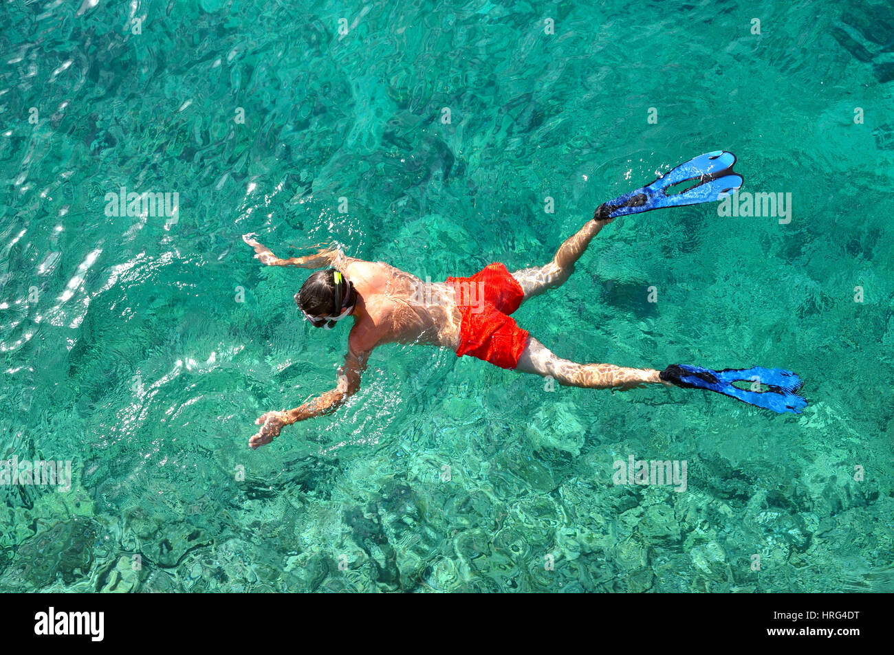 Man snorkeling in a tropical sea Stock Photo - Alamy