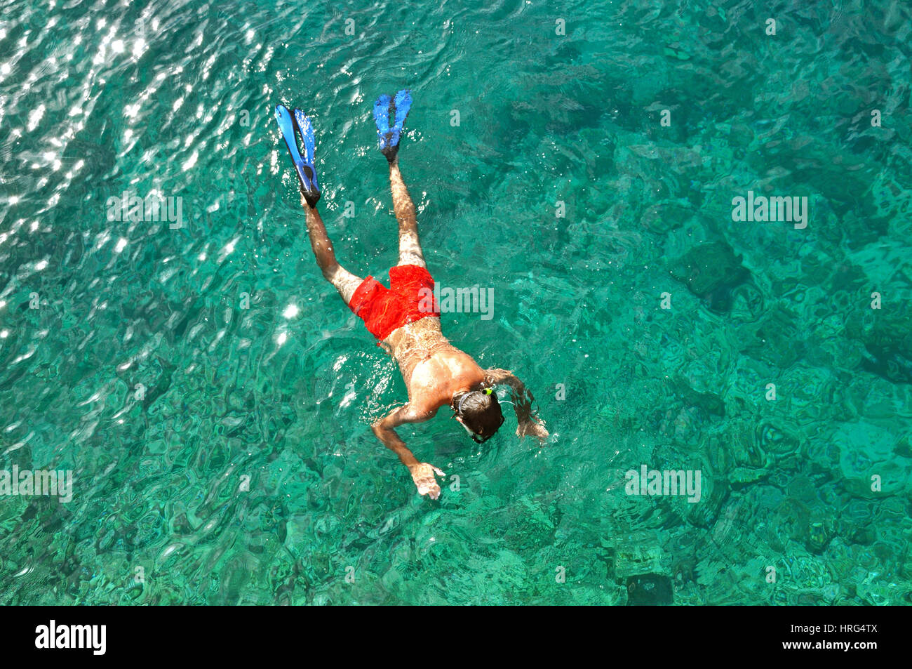 Man snorkeling in a tropical sea Stock Photo - Alamy