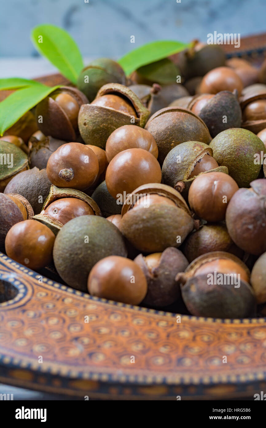 Macadamia nuts harvest close up with leaves Stock Photo - Alamy