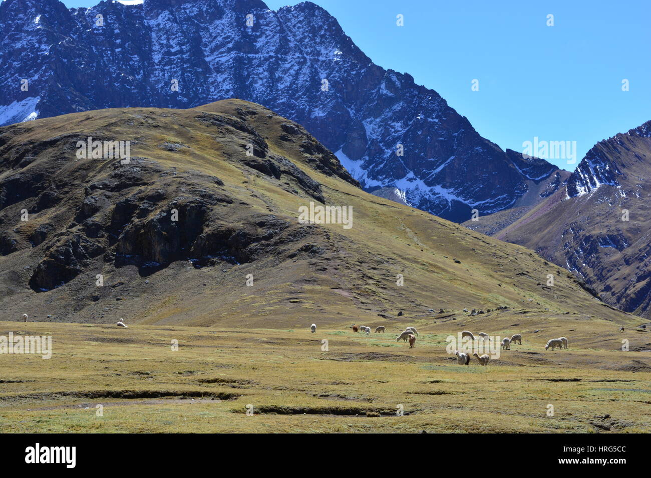 Beautiful landscape of the Cerro Colorado - aka Rainbow Mountain ...