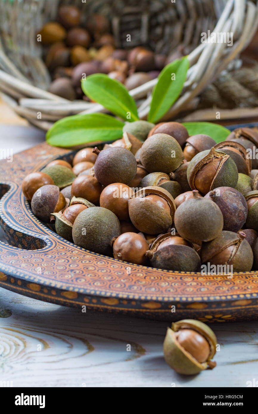 Macadamia nuts harvest close up with leaves Stock Photo - Alamy