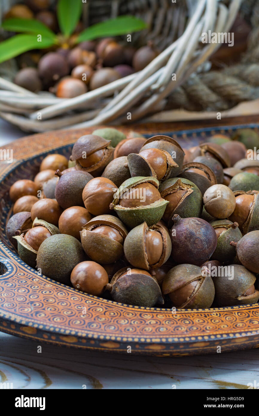 Macadamia nuts harvest close up with leaves Stock Photo - Alamy
