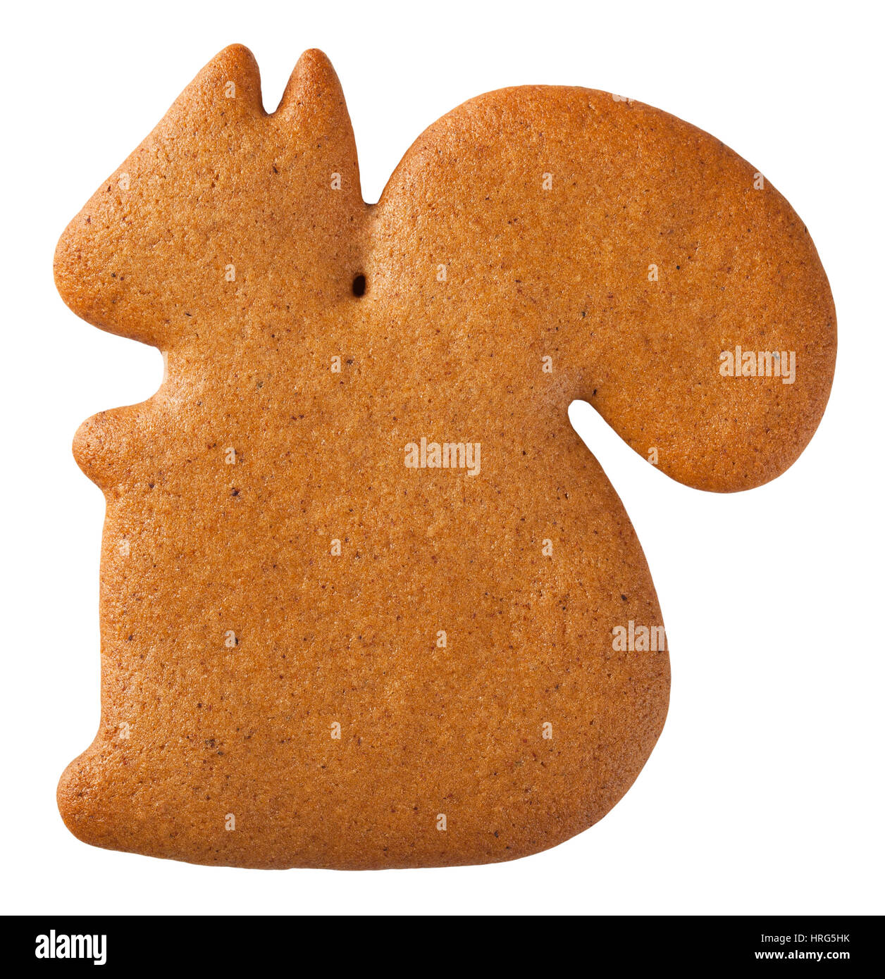 Gingerbread squirrel cookie isolated on white background. Top view ...