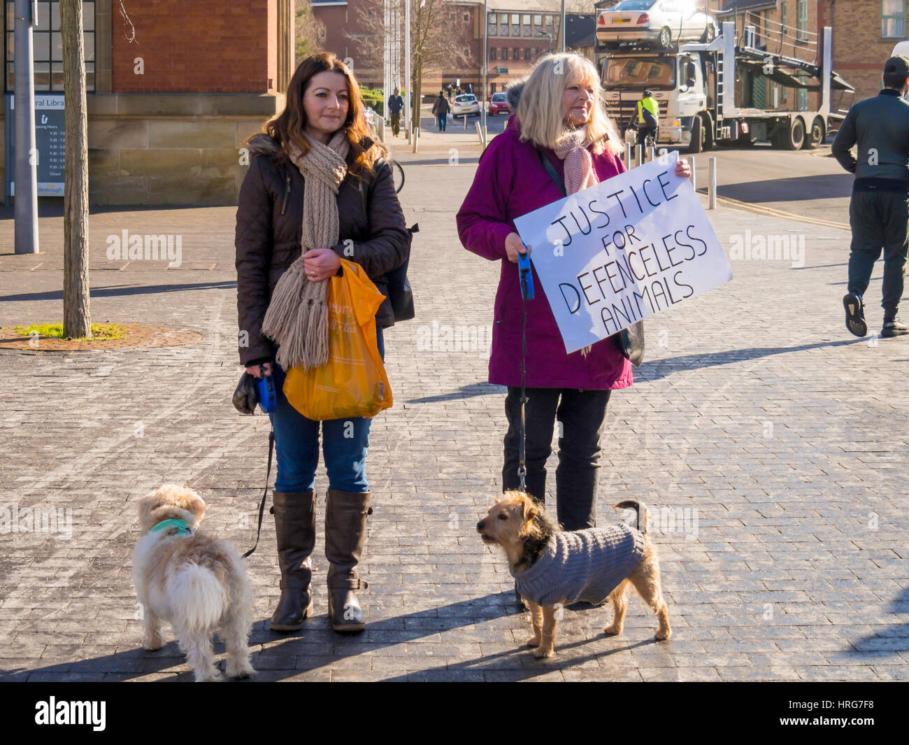 Animal cruelty hi-res stock photography and images - Alamy