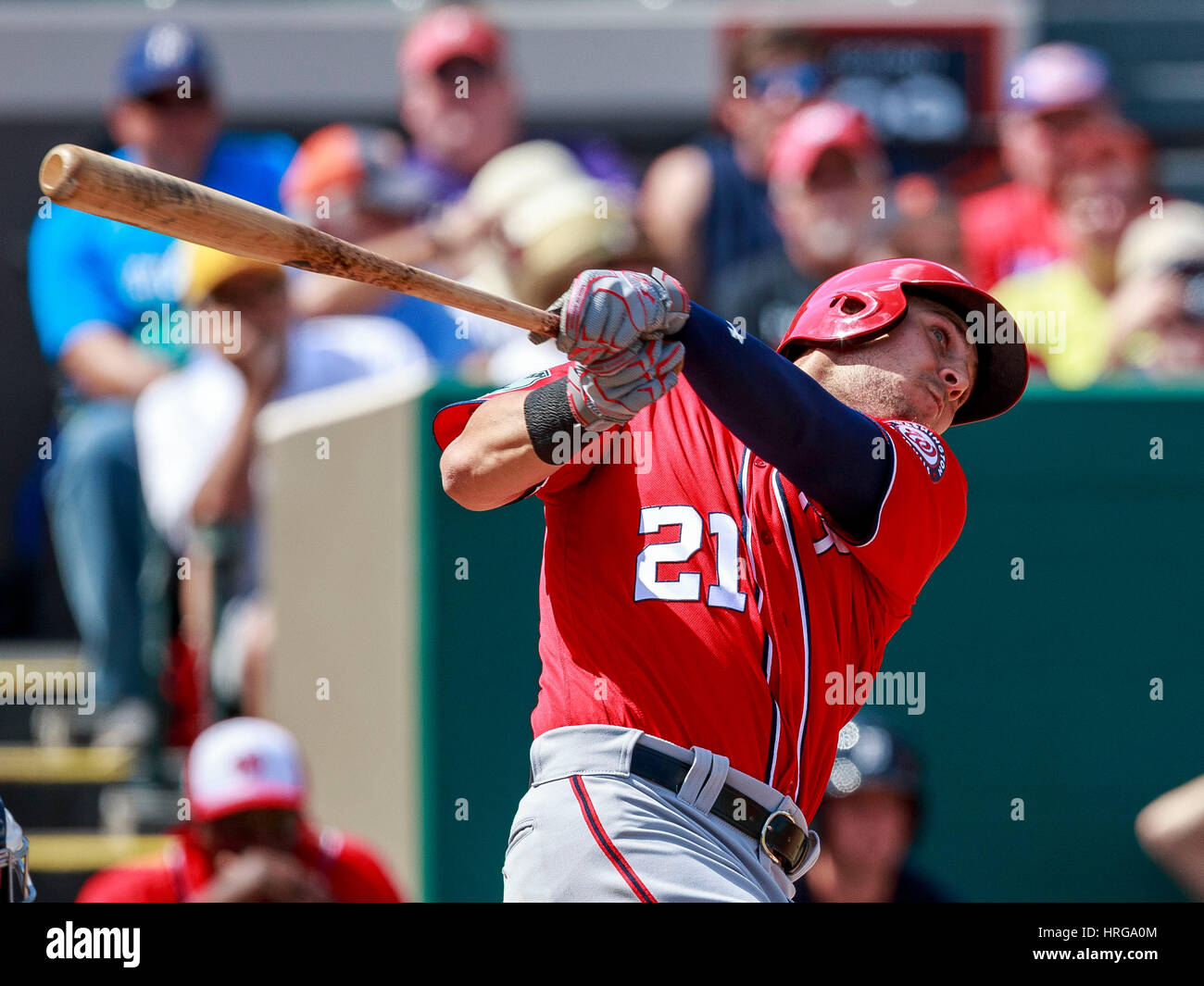 Matt skole hi-res stock photography and images - Alamy