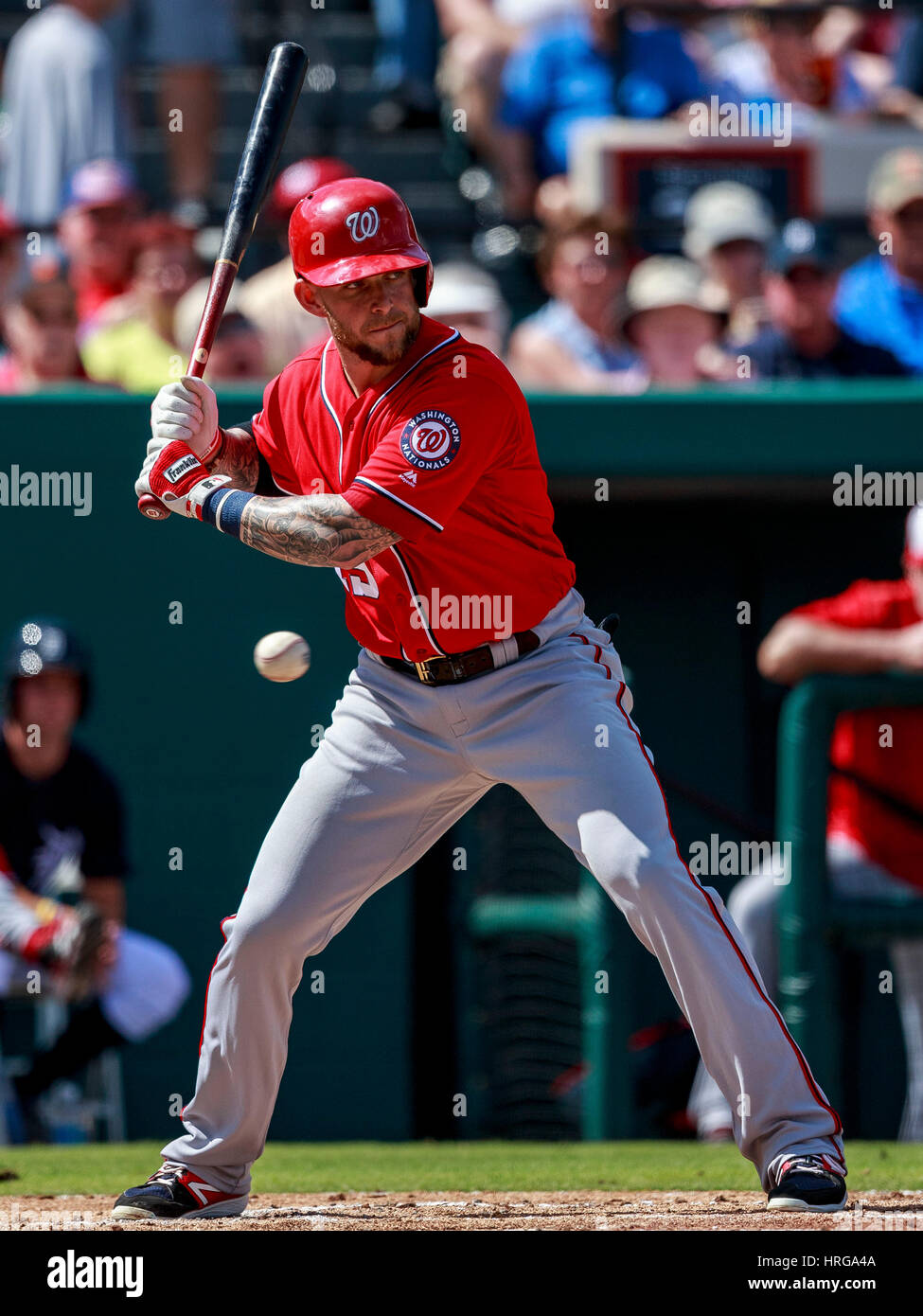 Joker marchant stadium hi-res stock photography and images - Alamy
