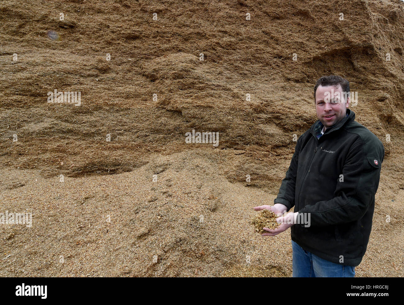 Gehrden, Germany. 22nd Feb, 2017. Farmer Christoph Moeller holds silage ...