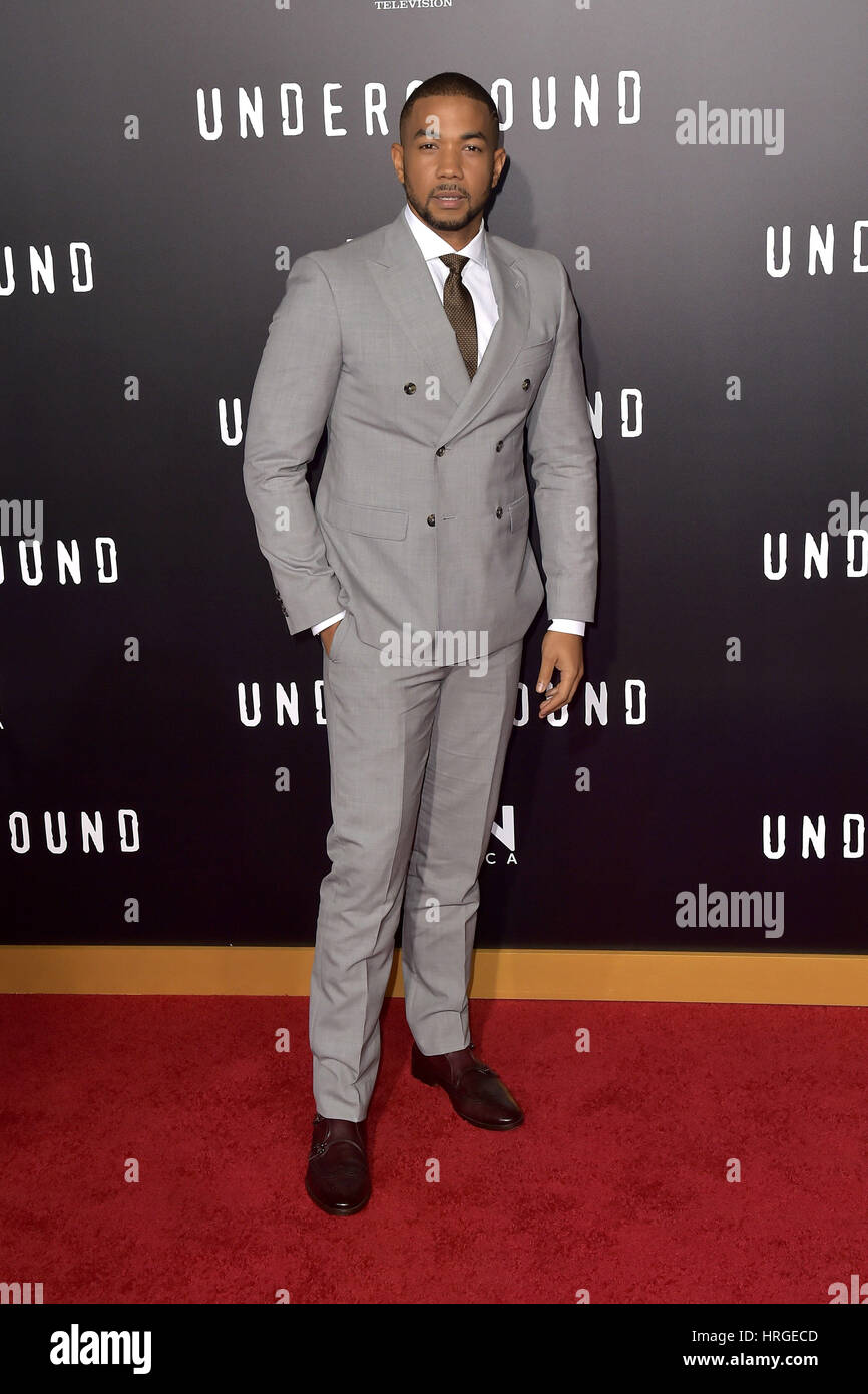 Alano miller hi-res stock photography and images - Alamy