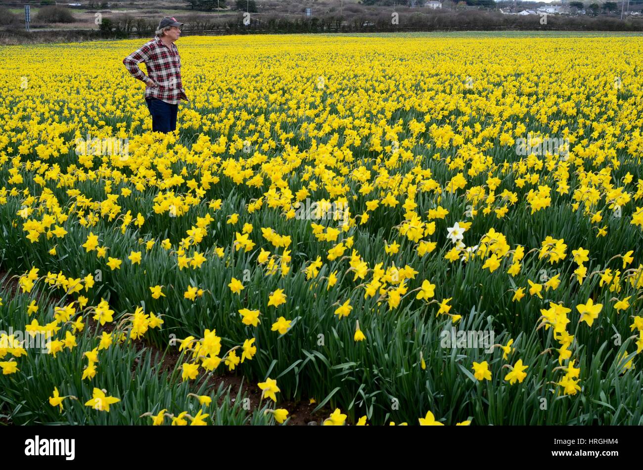 Welcome to cornwall sign hi-res stock photography and images - Alamy