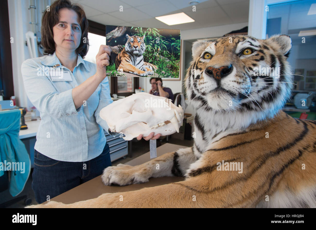 Rasputin museum hi-res stock photography and images - Alamy