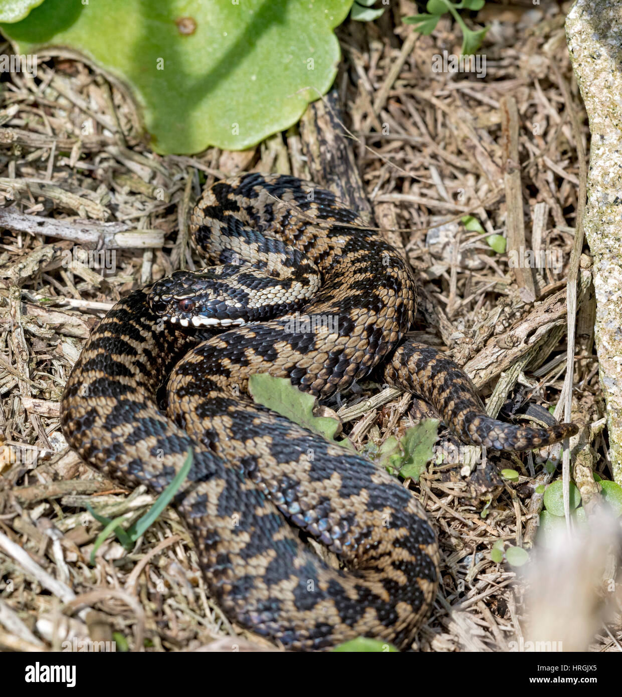 Cornwall, UK. 2nd Mar, 2017. Todays sunny conditions in Cornwall ...