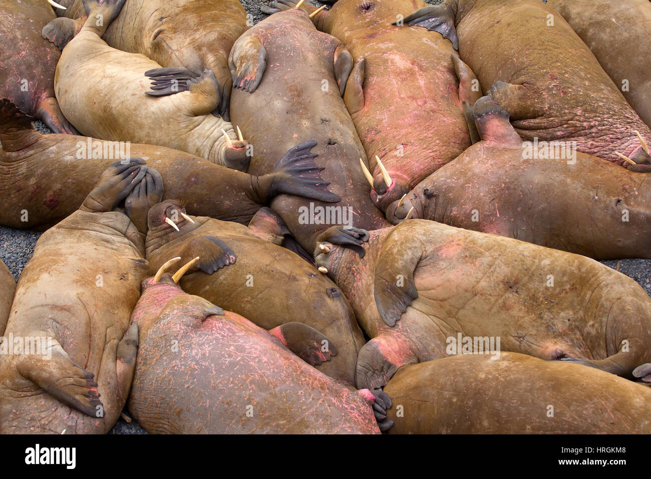 Slumber sea hi-res stock photography and images - Alamy