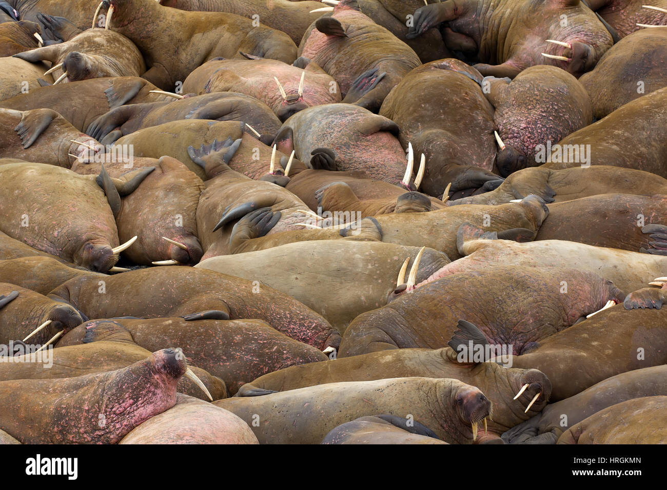 Slumber sea hi-res stock photography and images - Alamy