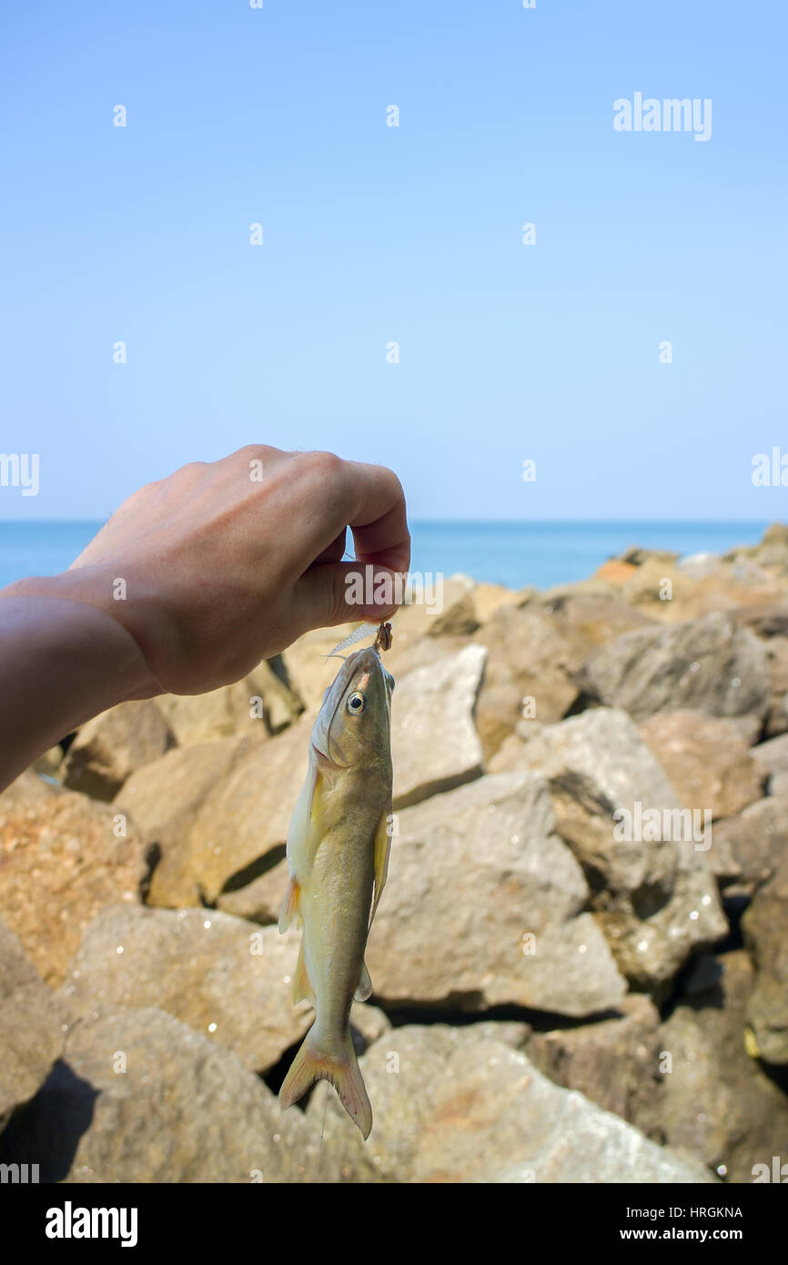 Fishing in india parvati fish hi-res stock photography and images - Alamy