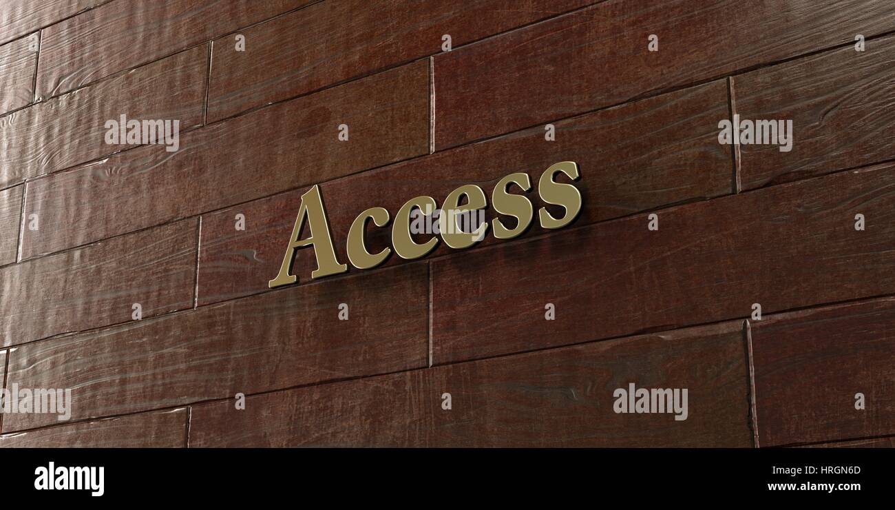 Access - Bronze plaque mounted on maple wood wall - 3D rendered royalty ...