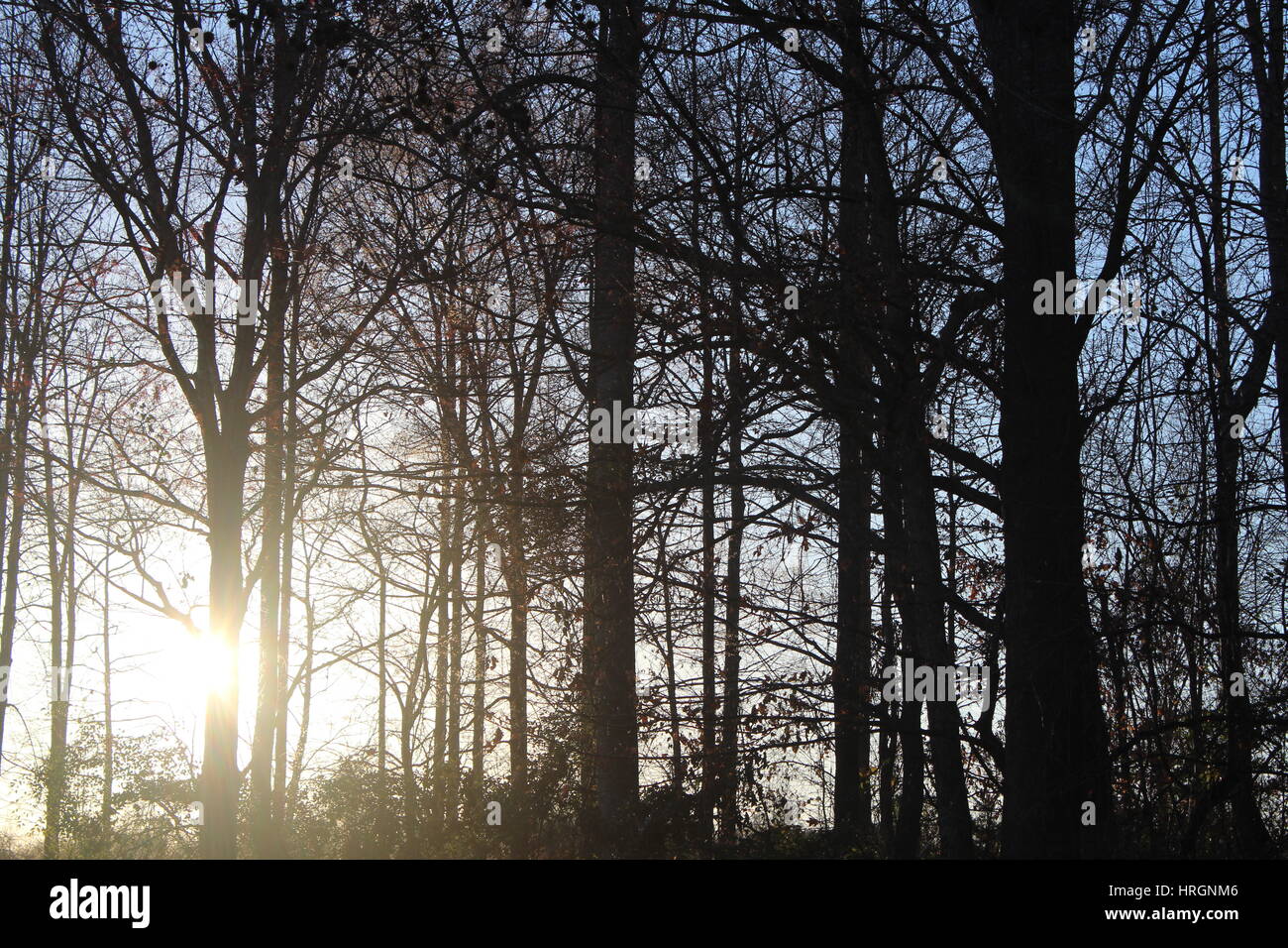 Pictures taken just before sunrise on a cool February morning Stock ...