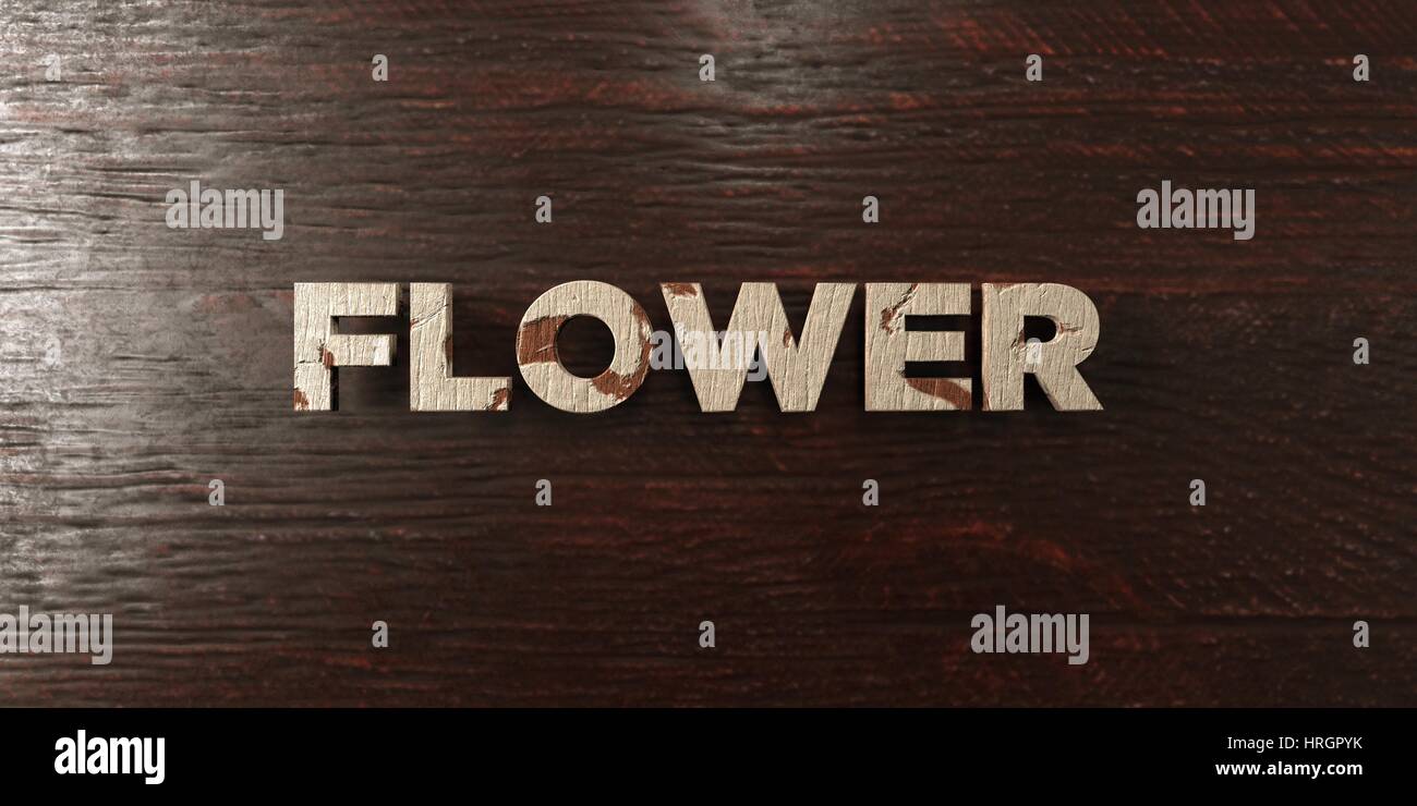 Flower - grungy wooden headline on Maple - 3D rendered royalty free ...
