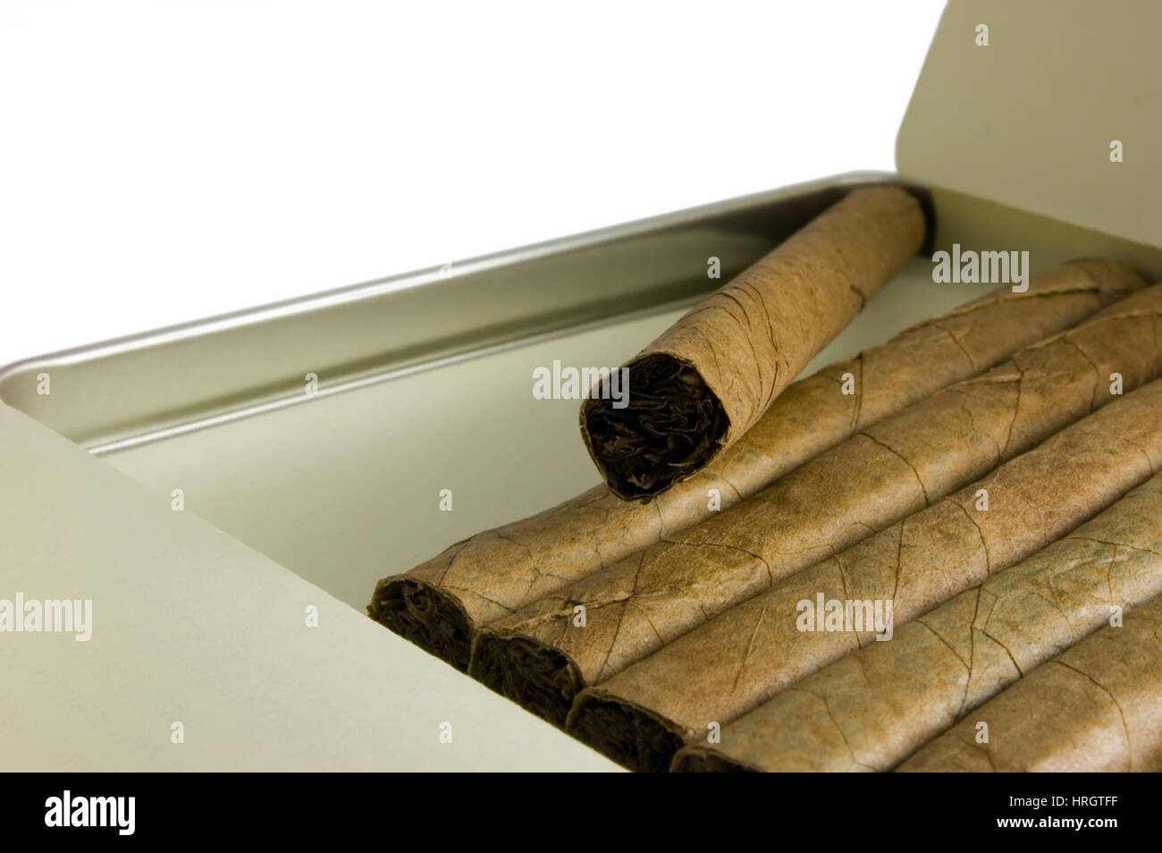 Cigar Box with Cigars, isolated macro closeup, white copy space Stock ...