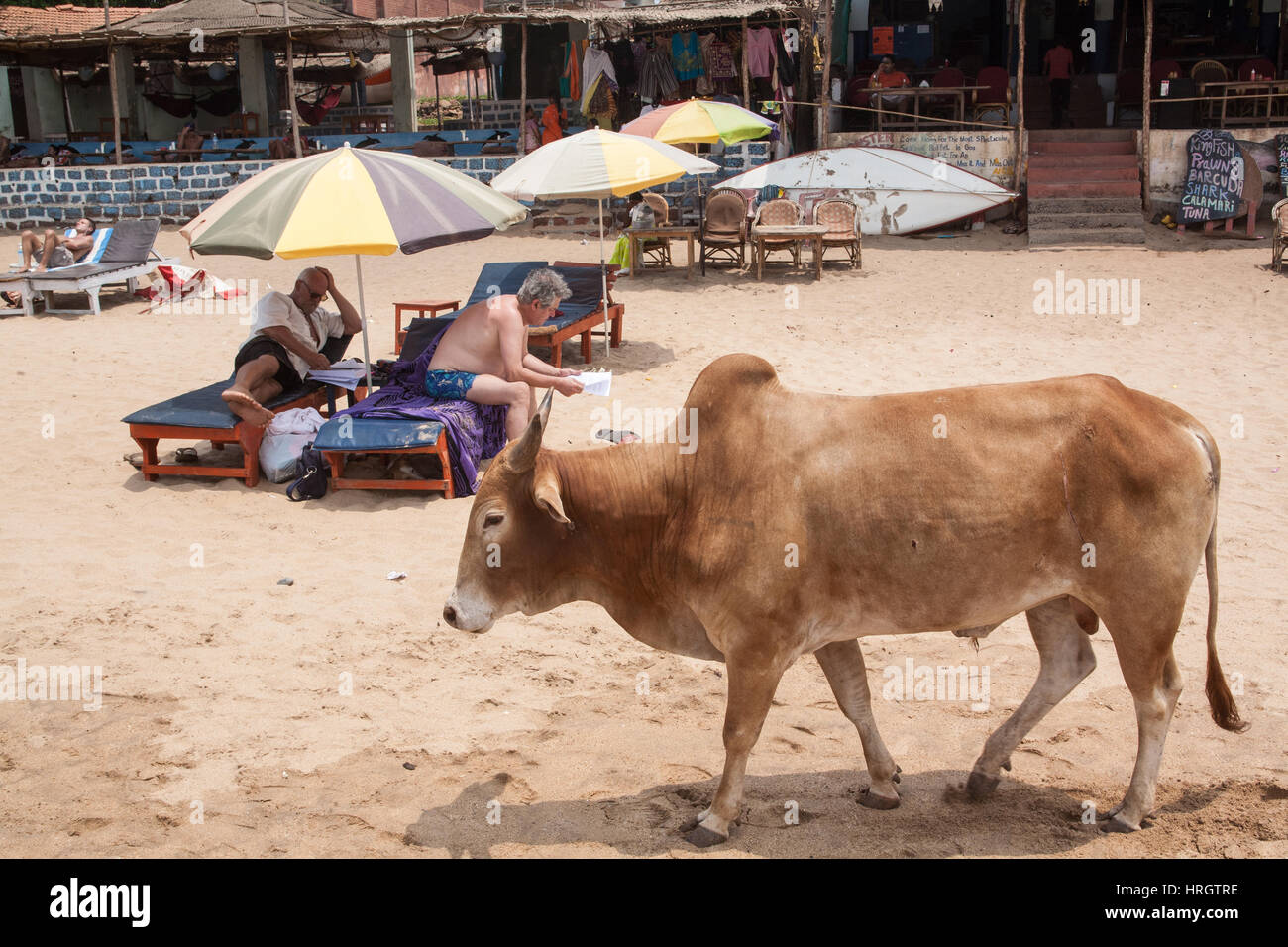 Goa bikini hi-res stock photography and images - Alamy