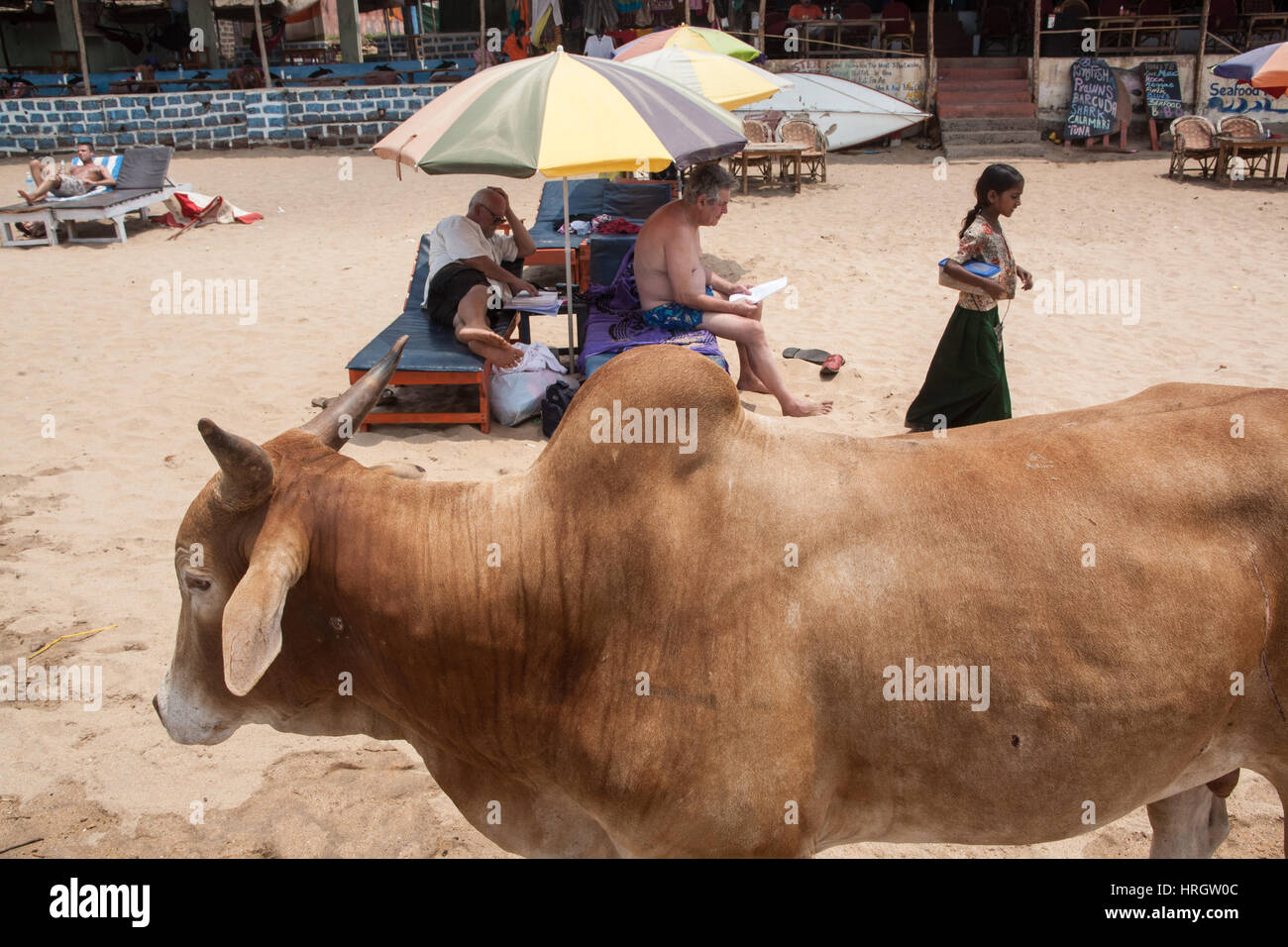 Goa bikini hi-res stock photography and images - Alamy