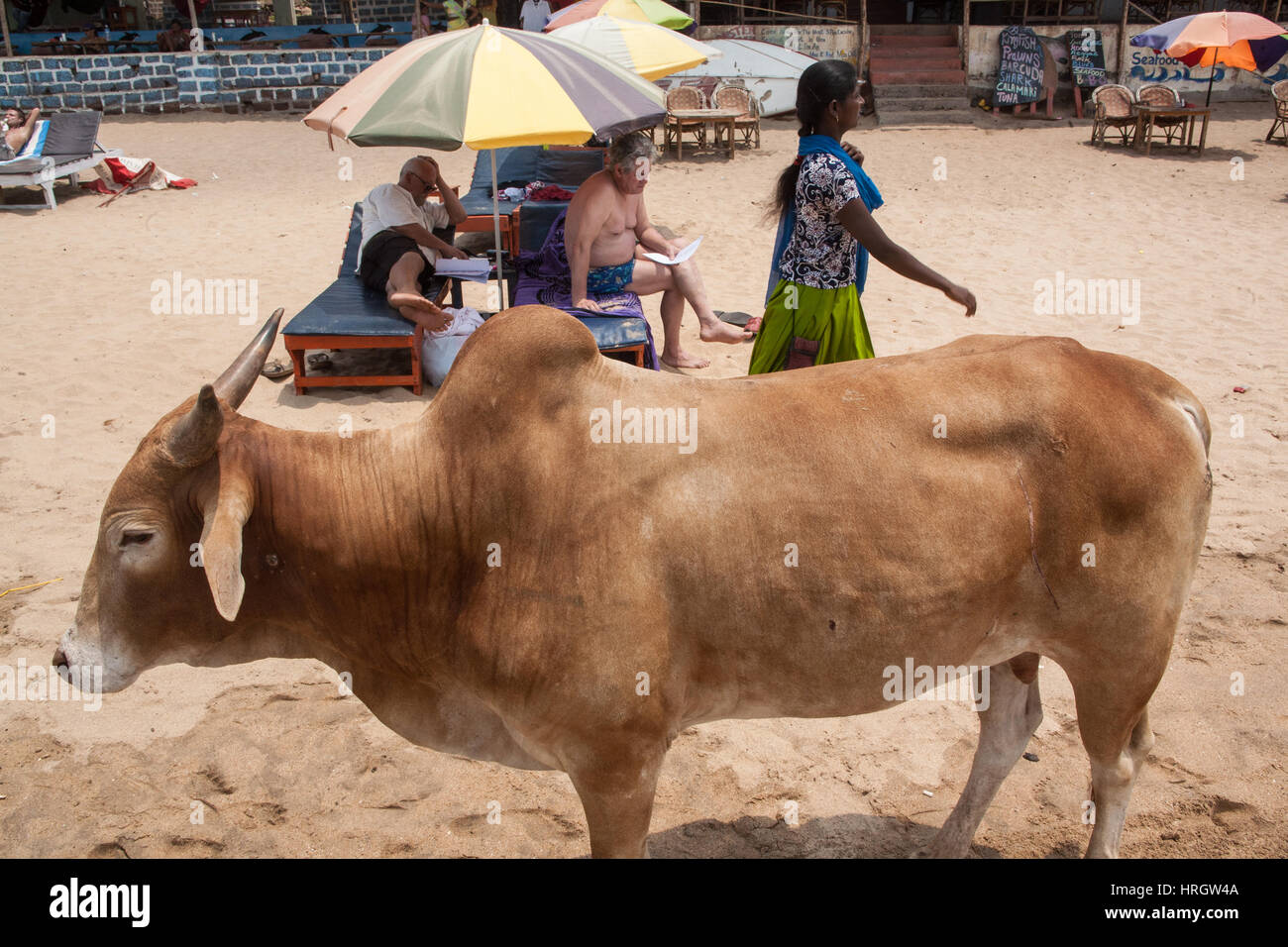 Goa bikini hi-res stock photography and images - Alamy