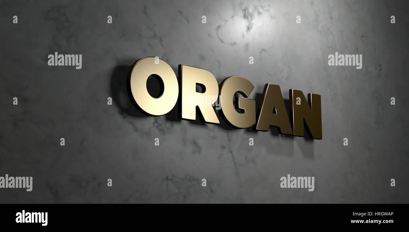 Organ - Gold sign mounted on glossy marble wall - 3D rendered royalty ...