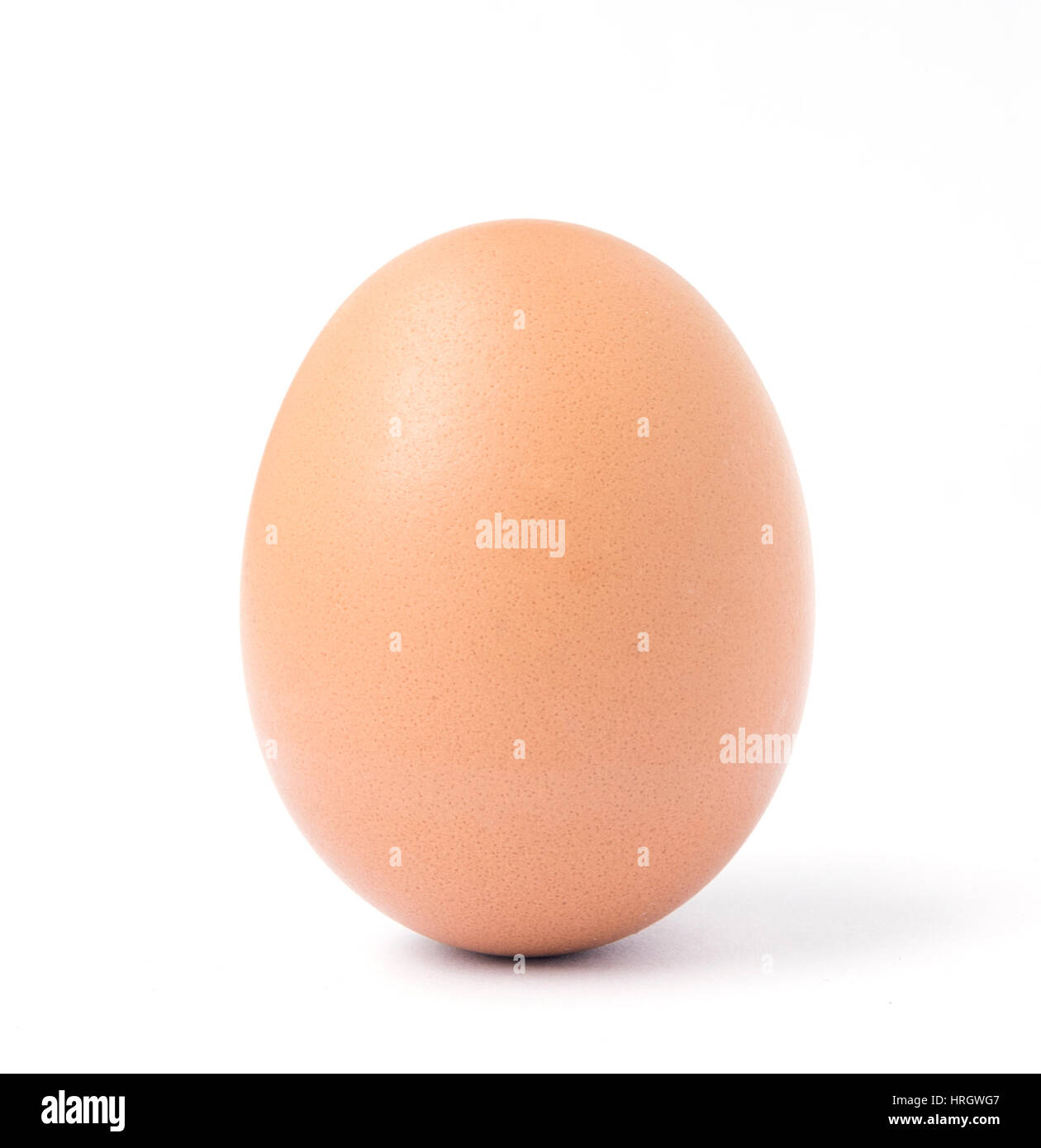 Upright chicken hi-res stock photography and images - Alamy