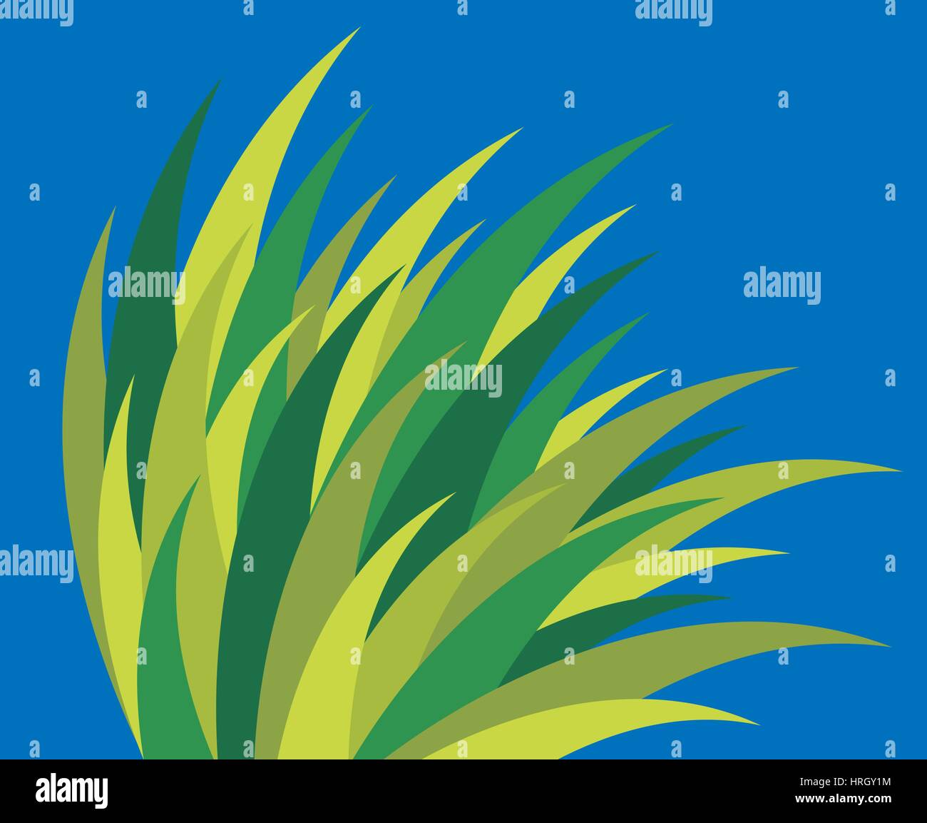 Plant photosynthesis Stock Vector Images - Alamy