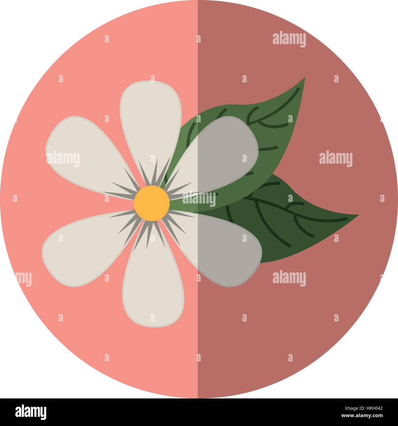 cute flower spa emblem Stock Vector Image & Art - Alamy