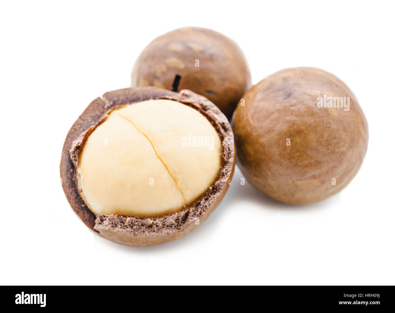 Shelled and unshelled macadamia nuts on white background Stock Photo ...