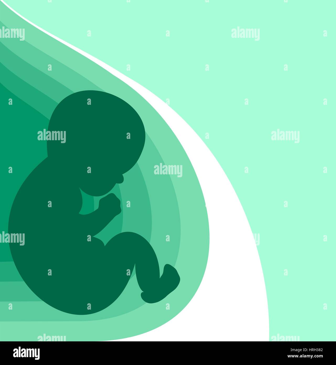 Foetus vector vectors hi-res stock photography and images - Alamy