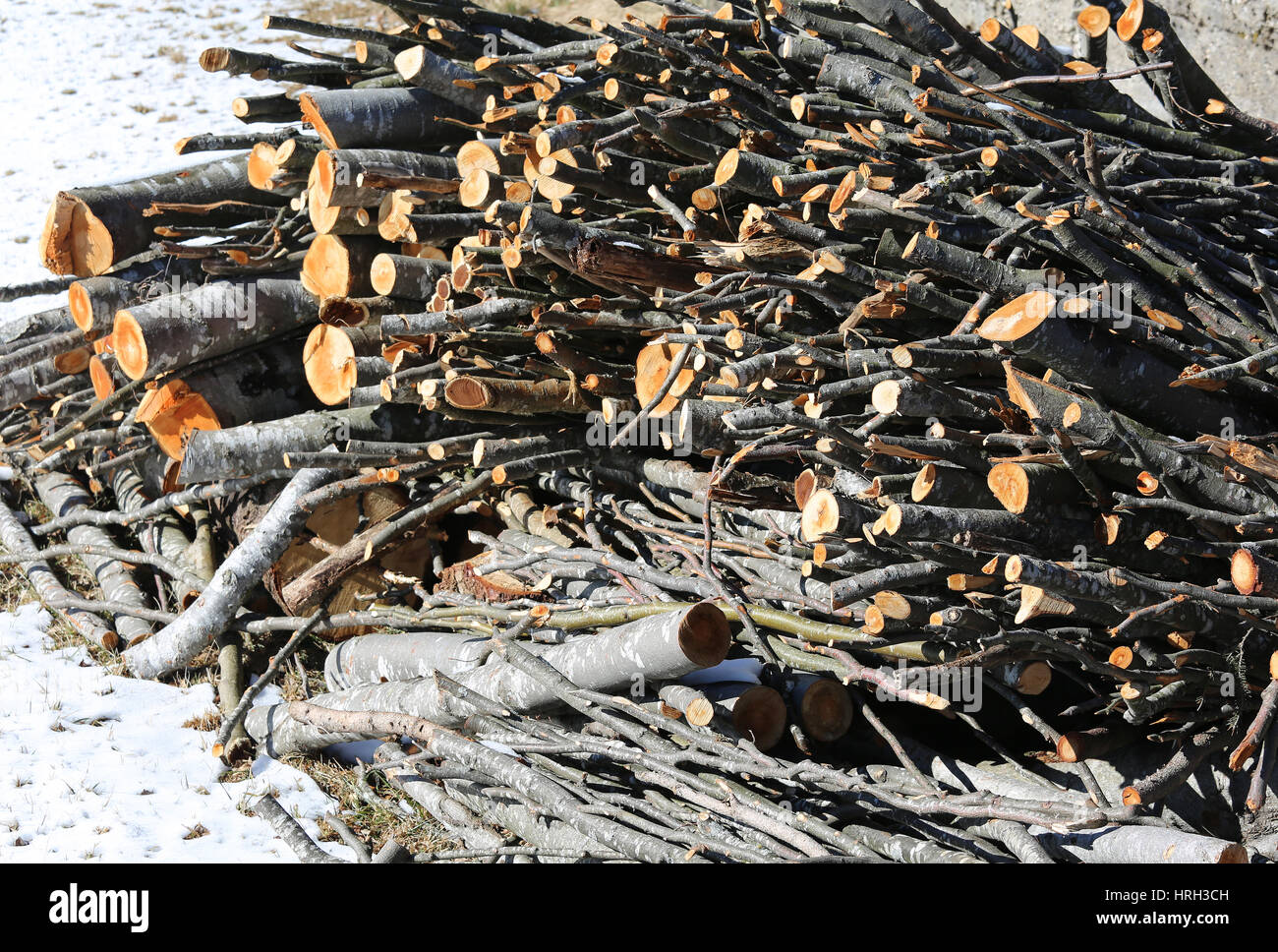logs cut by lumberjack in the woodshed with white snow Stock Photo - Alamy