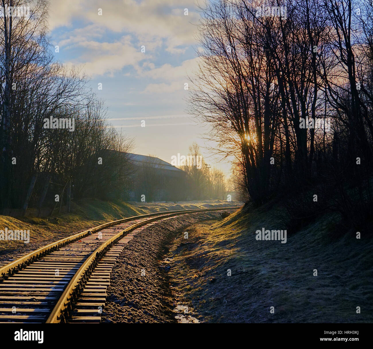 Old Rail Road at the forest Stock Photo - Alamy