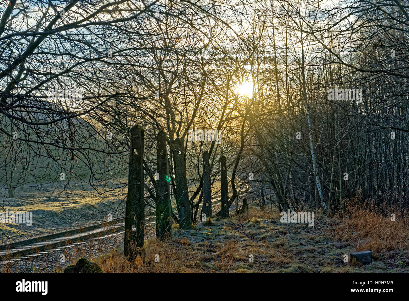 Old Rail Road at the forest Stock Photo - Alamy
