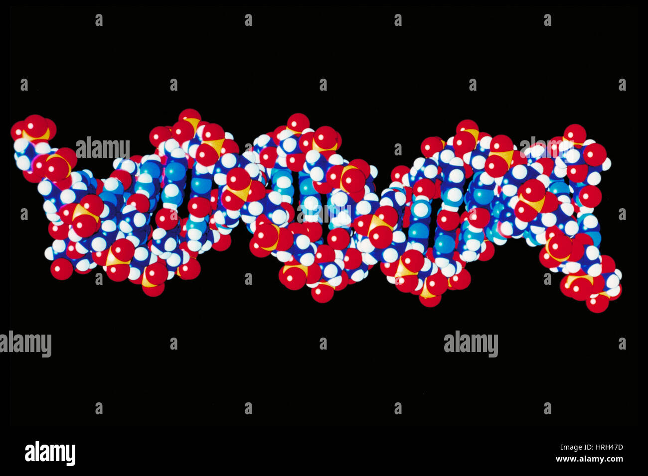 B-DNA Molecular Model Stock Photo - Alamy