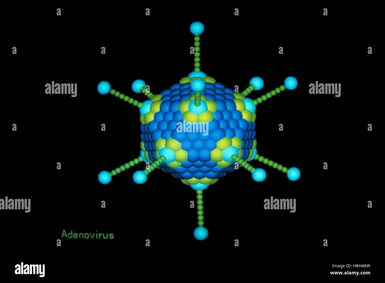 Adenovirus microscopy hi-res stock photography and images - Alamy