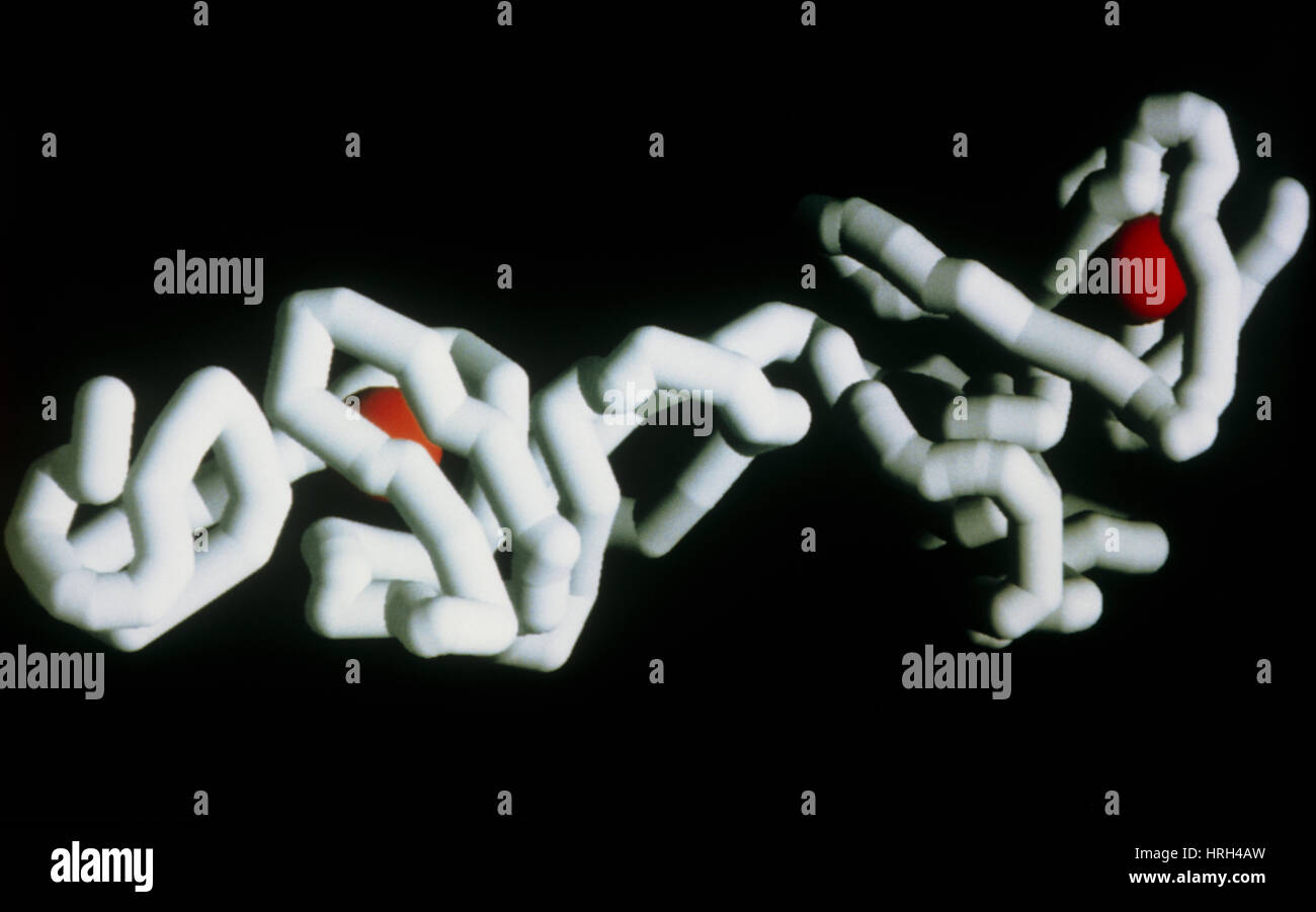 Human serum albumin proteins hi-res stock photography and images - Alamy