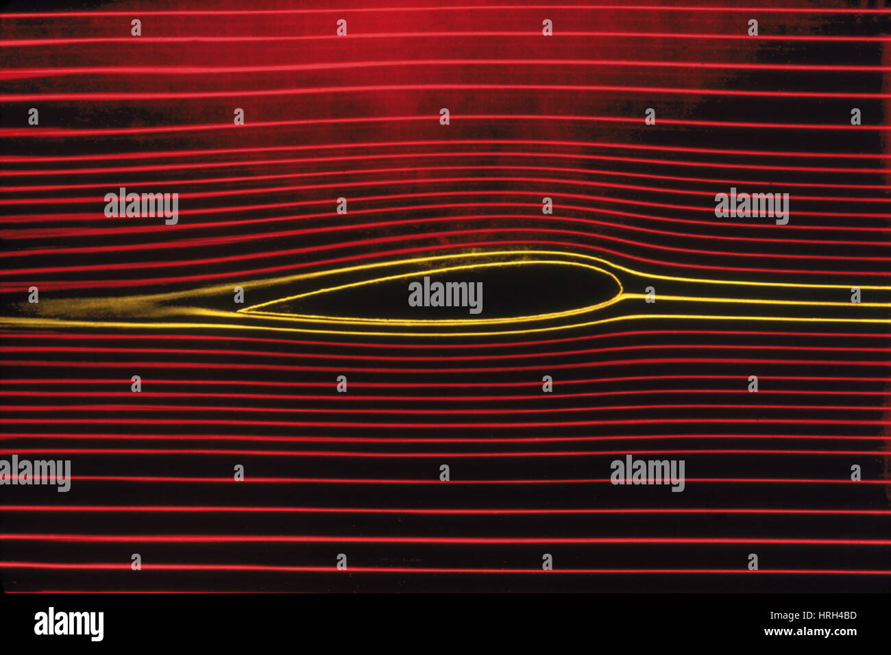 Bernoullis Principle Animation