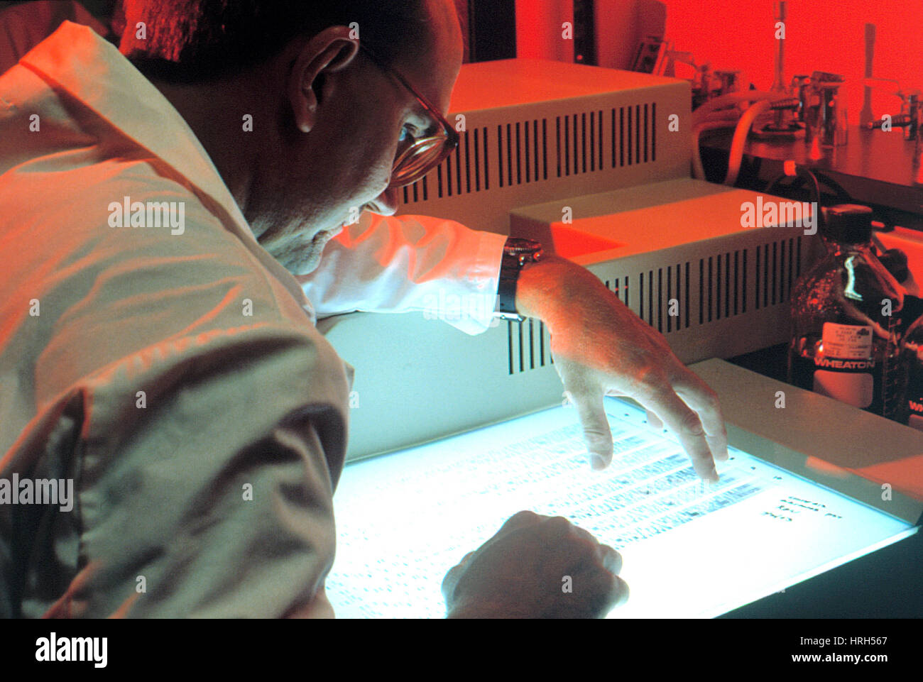 Scientist examining dna pattern hi-res stock photography and images - Alamy