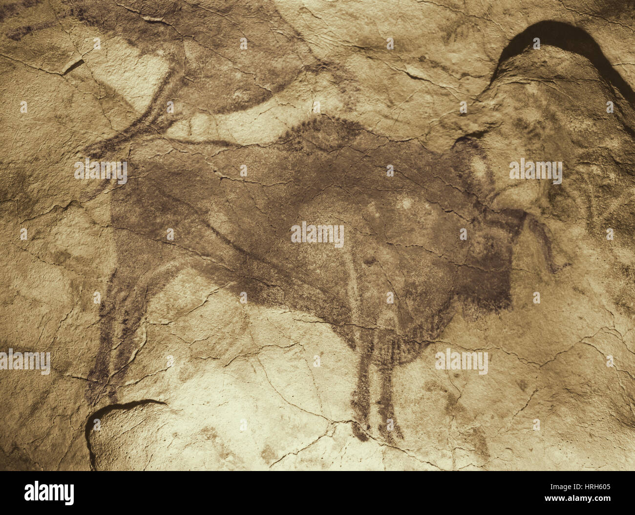 Cave painting spain hi-res stock photography and images - Alamy