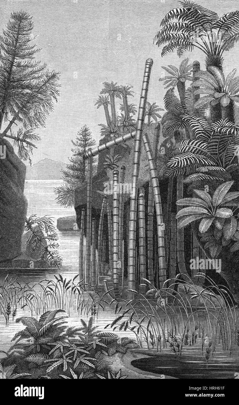 Triassic period hi-res stock photography and images - Alamy