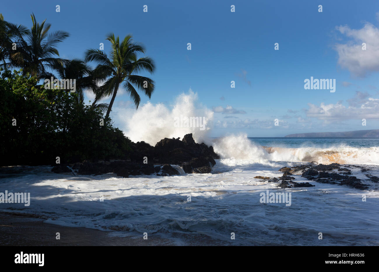 Hawaiian waves hi-res stock photography and images - Alamy